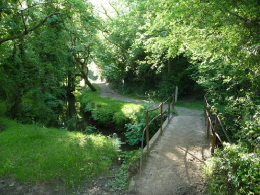Bishopston Valley - Great Lunnon Farm
